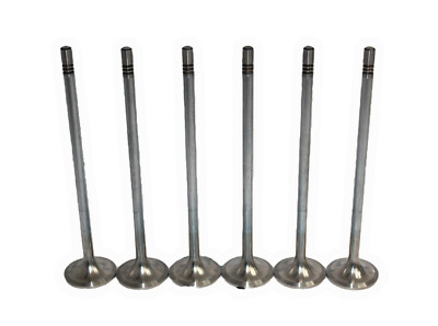 QTY: 6 Volvo D13 Intake Inlet Valves 20740798 Renault DTI13 7420740798 ...