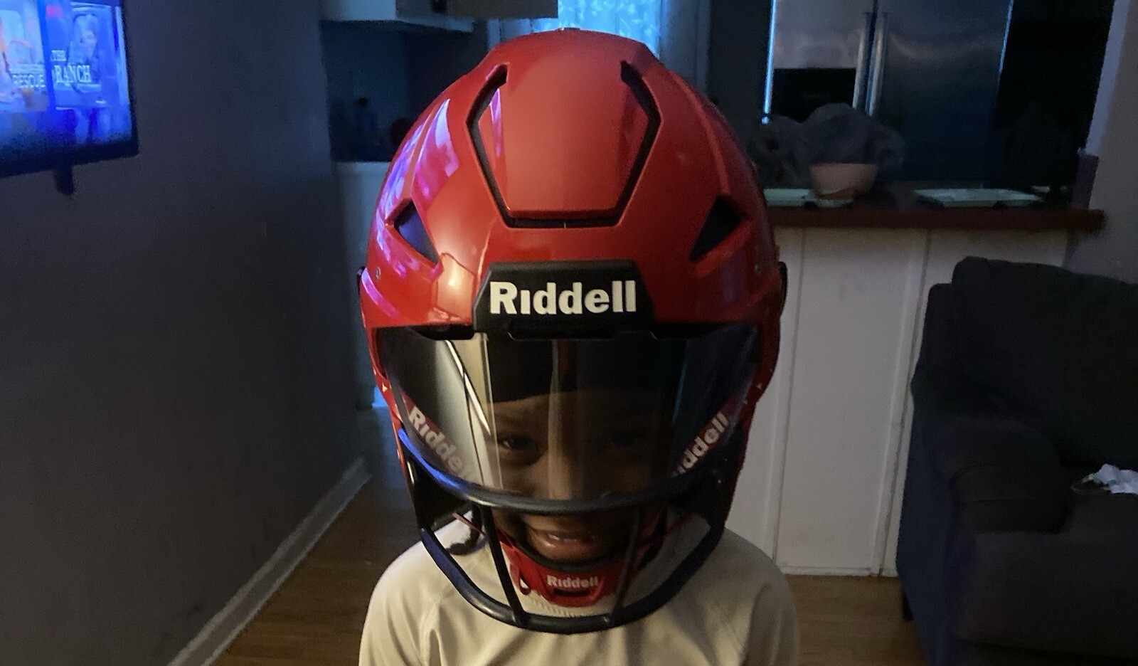 Riddel Axiom helmet titanium face mask | eBay