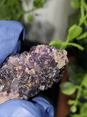 Natural Purple QR code Fluorite Crystal Cube Rare Mineral Specimen ...