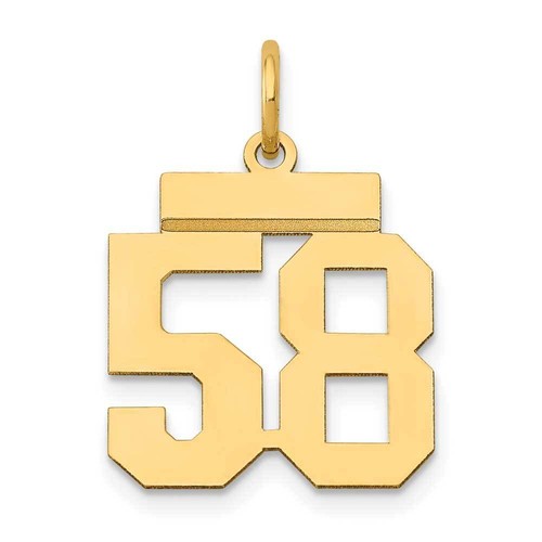 14K Gold Small Polished Number 58 Charm 883957033815| eBay