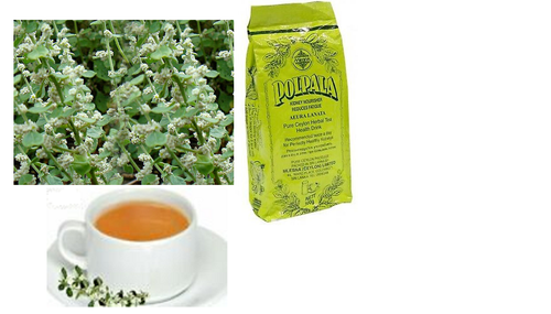100g Mlesna Polpala Pure Ceylon Herbal Tea(Aerva Lanata ) Health Drink ...