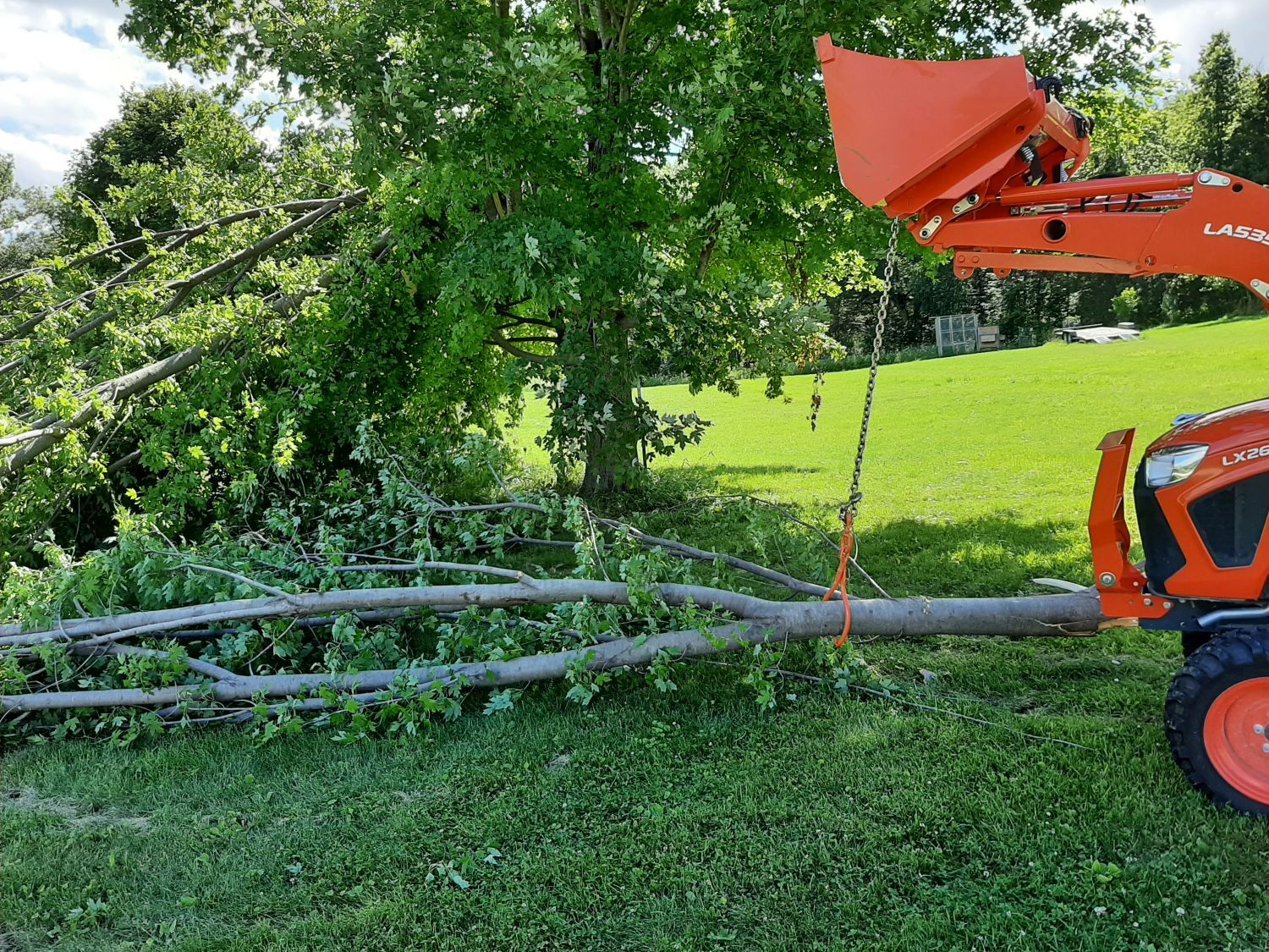 Viking Woodsman 16 inch Swivel Log Skidding lifting Tongs for logs or ...