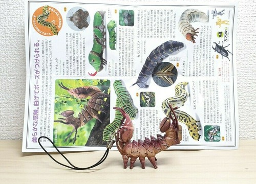 Kaiyodo Capsule Q LOBSTER MOTH butterfly larvae insect figure | eBay