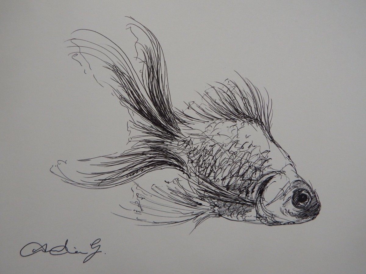 Goldfish Pencil Art