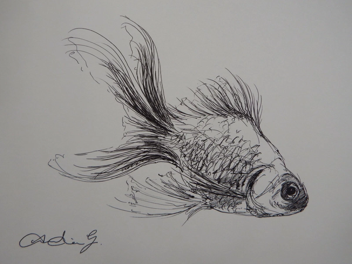 Fish Sketch