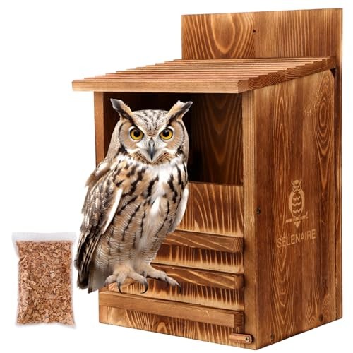 Premium Pine Barn Owls Nesting Box – Screaming Owl Nesting Box ...
