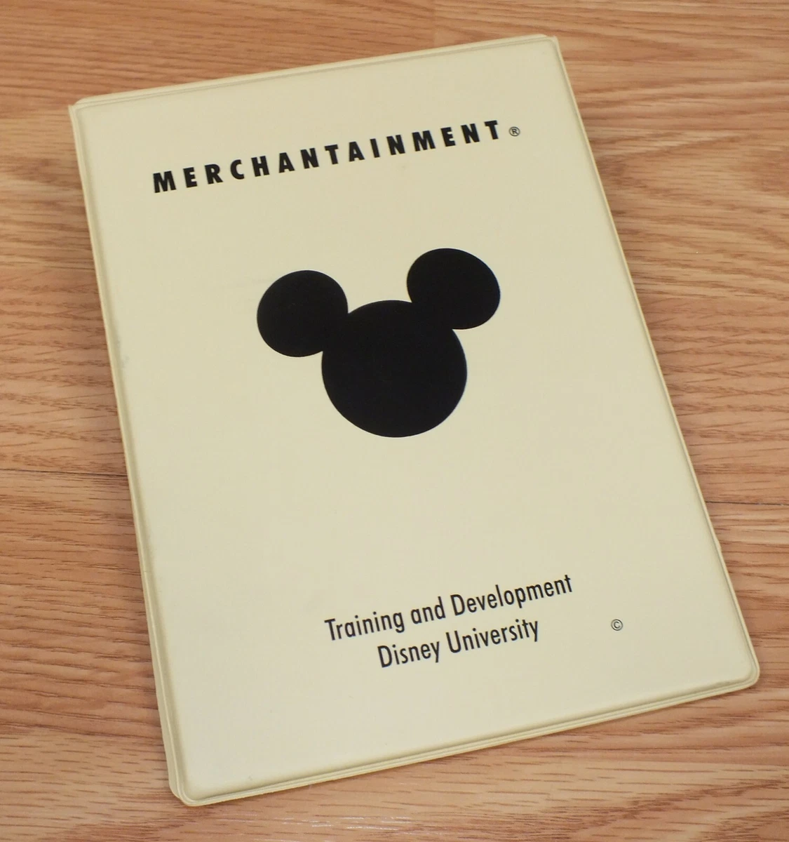 Disney University Training