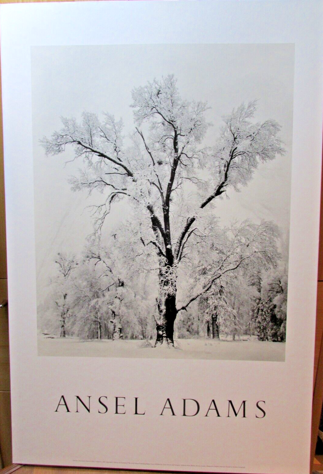 ANSEL ADAMS Oak Tree Snowstorm Yosemite Valley Ca 1948 Lithograph 24" x ...