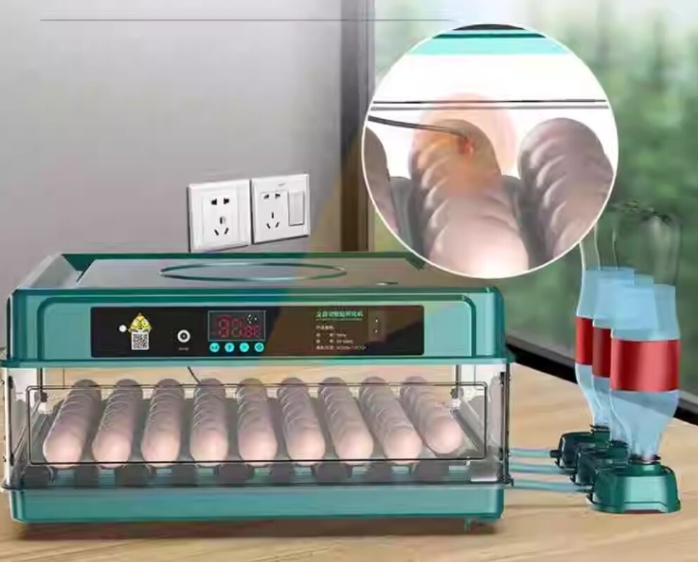 Electric Incubator British Standard Egg Chicken Incubators For Eggs ...