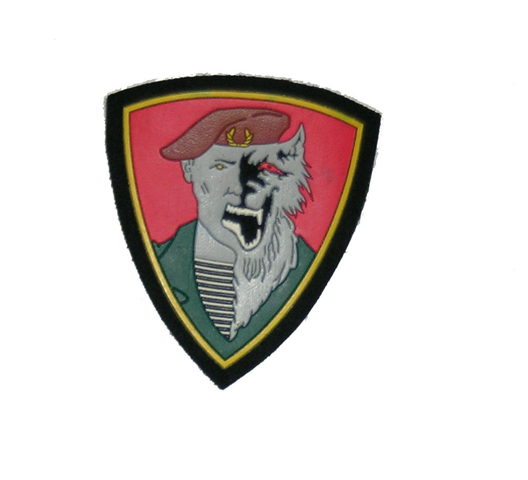 Russian sleeve patch for the "Werewolf" Spetsnaz unit of the 34th | eBay