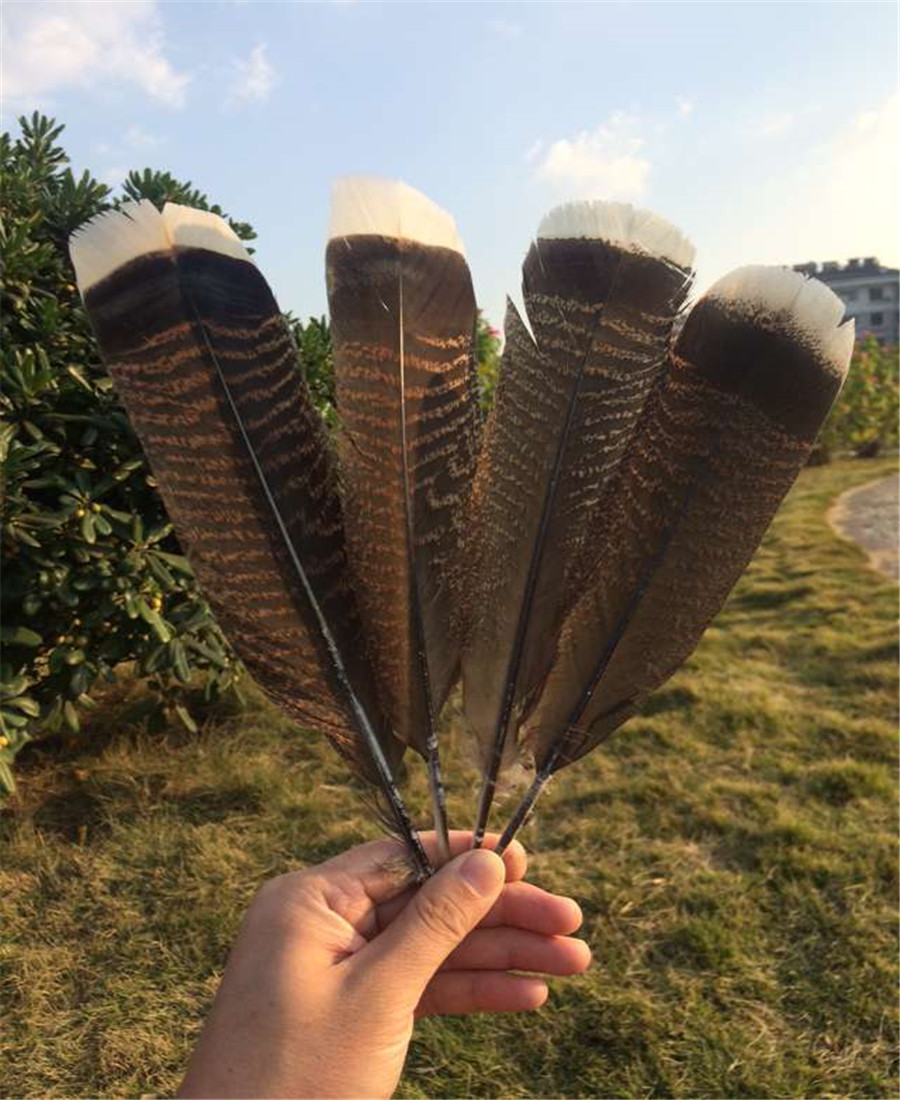 Turkey Tail Feathers Costume