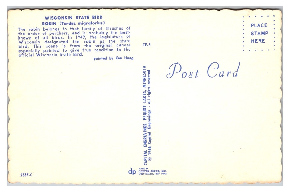 Vintage 1960s - Robin Wisconsin State Bird Postcard (UnPosted) | eBay