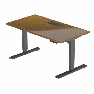 Desks & Tables - Electric Drafting Tables