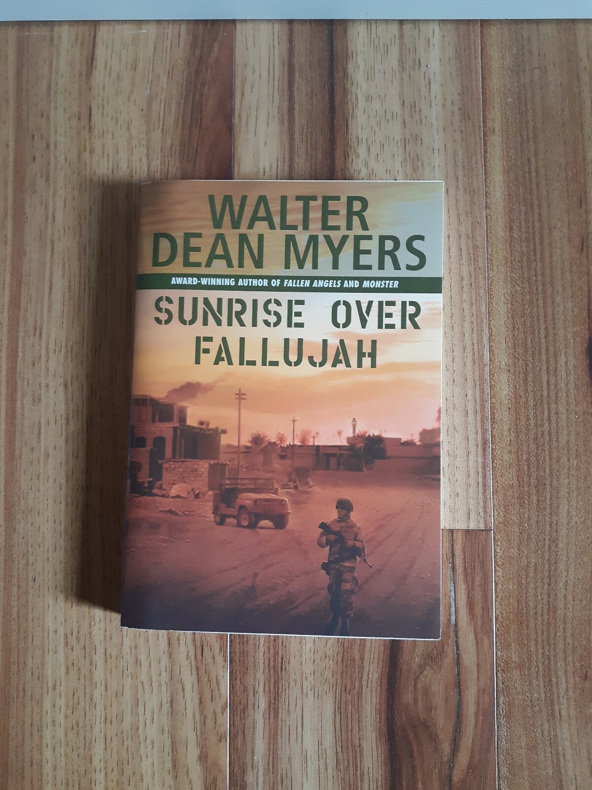Sunrise Over Fallujah Walter Dean Myers Paperback 9780439916257| eBay
