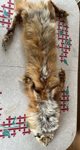 Vintage Tanned Red Fox Stole | eBay