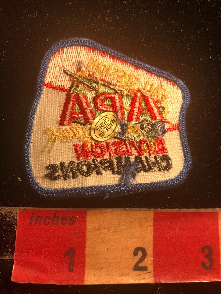 APA POOL LEAGUES Fall Session Division Champions Patch 99RI | eBay