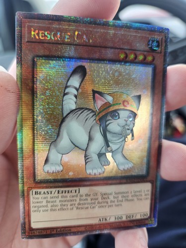 Yugioh Rescue Cat RA02-EN001 25th Aniv Rarity Col II 1st Ed Quarter ...