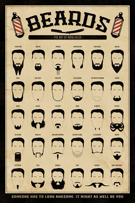 Movember Moustache Styles