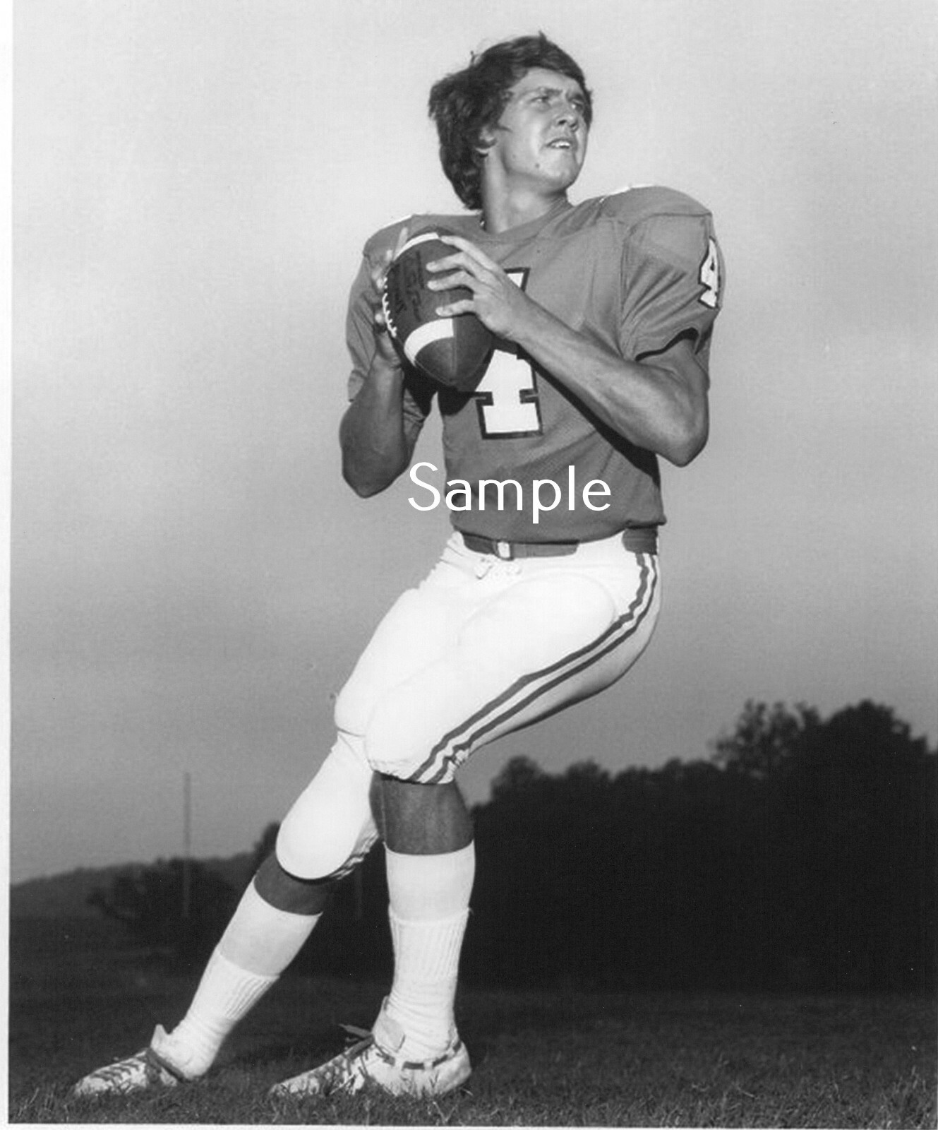 Steve Fuller Clemson Tigers Football Photo SF2 | eBay