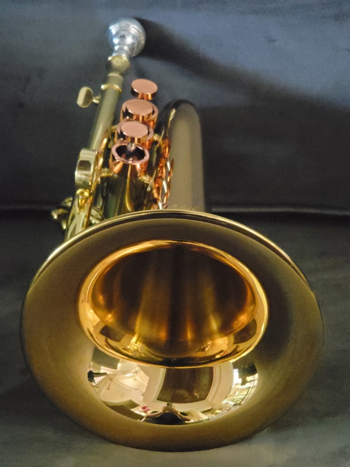 CarolBrass Pocket Flugelhorn / Taylor Phat Puppy - 2025 Polished ...