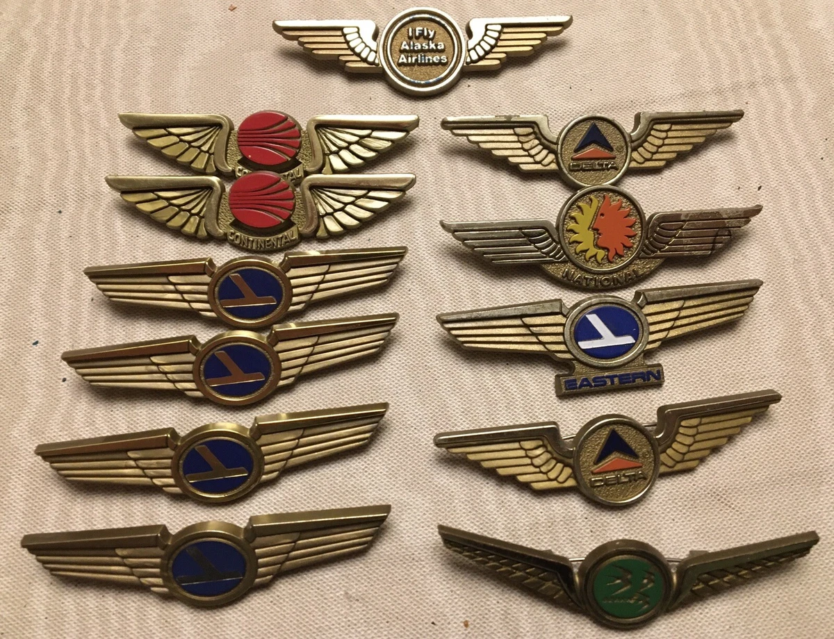 Flying Wings Pin