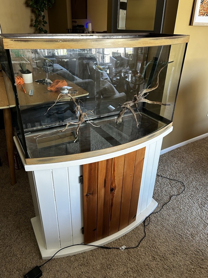 46 Gallon Bow Front Fish Tank With Stand & Driftwood | eBay