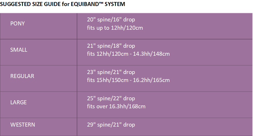 The GENUINE EQUIBAND® PRO SYSTEM for horse core conditioning! *FREE ...
