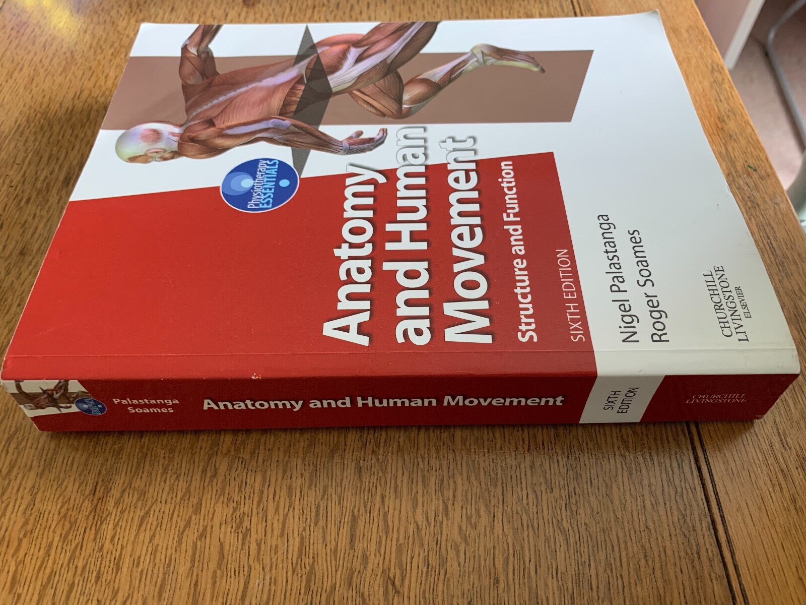 Physiotherapy Essentials Ser.: Anatomy and Human Movement : Structure ...