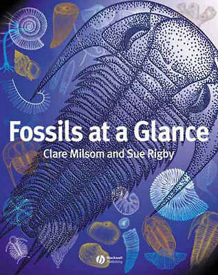 Fossils at a Glance by Sue Rigby, Clare Milsom (Paperback, 2003) for ...