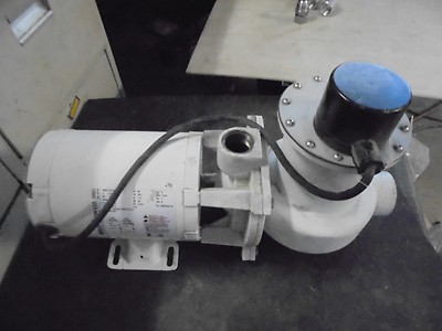 Bluffton Pool WELL Pump Motor 1081 .33 HP 115/230V | eBay