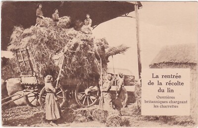 G1249 LA RENTREE DE LA RECOLTE DU LIN - OUVRIERES BRITANNIQUES AU ...