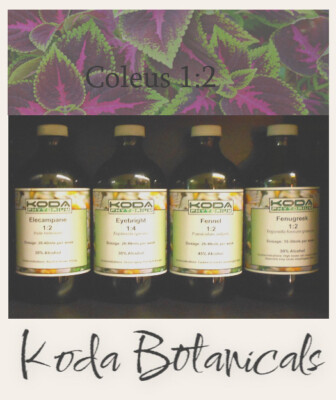 COLEUS Liquid Extract PREMIUM 1:2 TINCTURE Coleus forskohlii | eBay