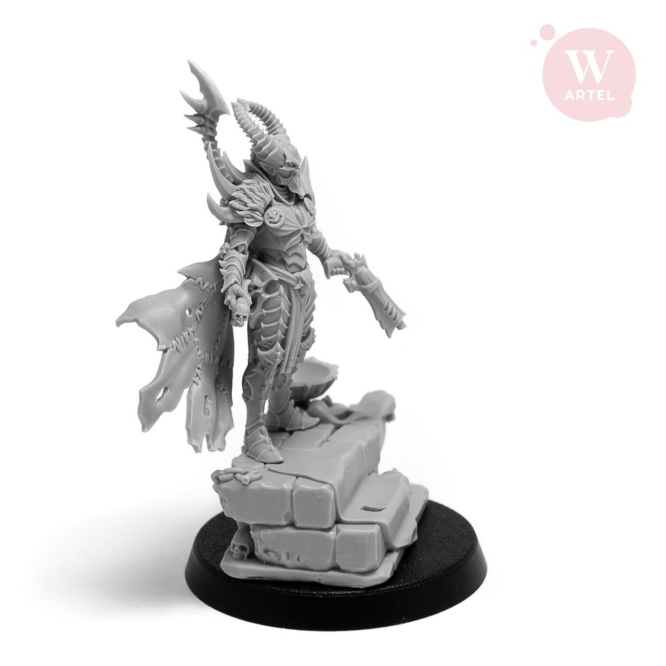 Drukhari Kabalite Raidmaster w 4MF Succubus Slaves Asdrubael Vect Artel ...