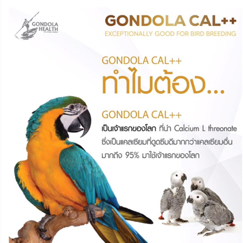 GONDOLA CAL++ Calcium Supplement for Birds All species of hook-beaked ...
