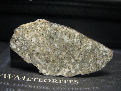 Dhofar 007 - Cumulate Eucrite - Anomalous, could be liked to ...