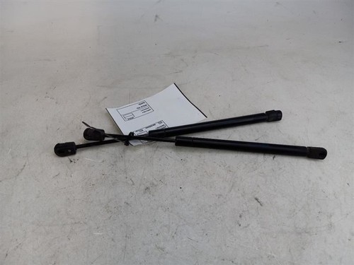1997 - 2004 FORD F-150 TAILGATE STRUT | eBay
