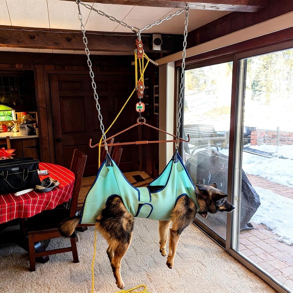 Digital Hanging Scales 300 lb 150 kg Mini Crane Scale Portable Heavy ...