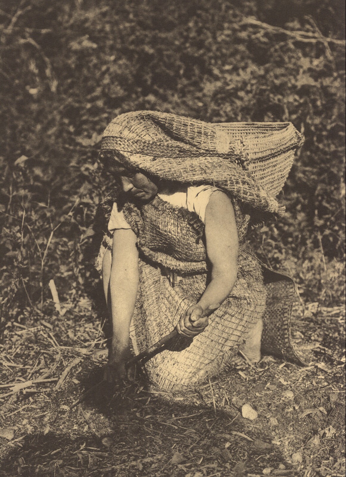 1972 EDWARD CURTIS Hesquiat Native American Indian Root Digger Large ...