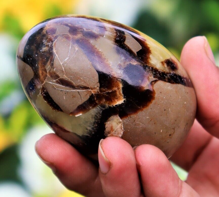 70MM Yellow Septarian Egg Septaria Septeyre Chakra Crystal Healing Gemstone Egg | eBay