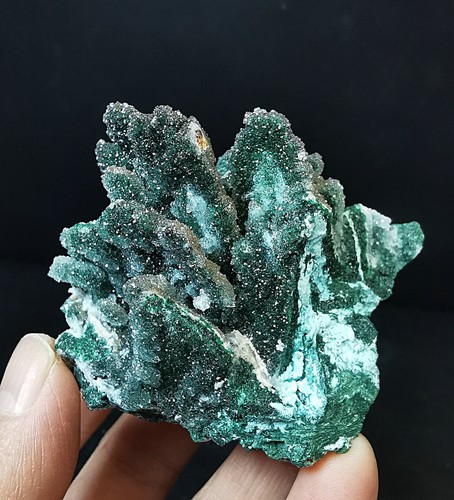 154g New Find Natural Chrysocolla Cluster Crystal Specimen/Congo | eBay
