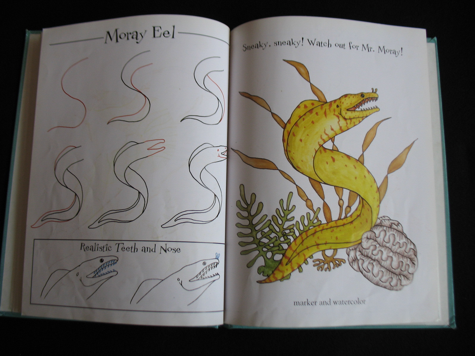 Ralph Masiello's Ocean Drawing Book - Ralph Masiello - Hardback - Lib ...