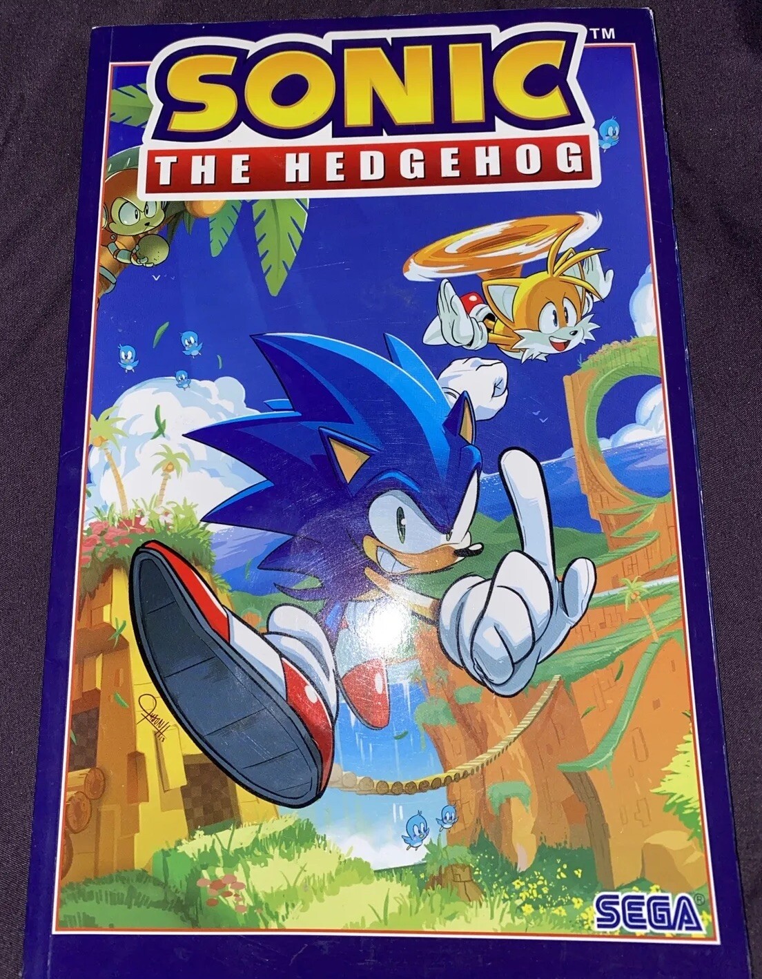 Sonic the Hedgehog Ser.: Sonic the Hedgehog, Vol. 1: Fallout! by Ian ...