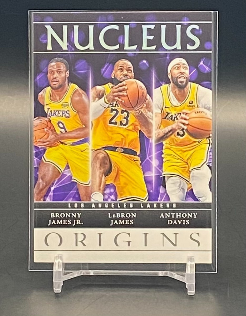 Lebron James Brukket Nese