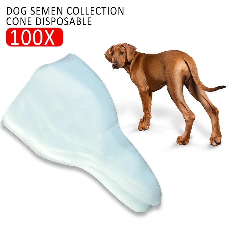 How Much For Artificial Insemination For Dogs