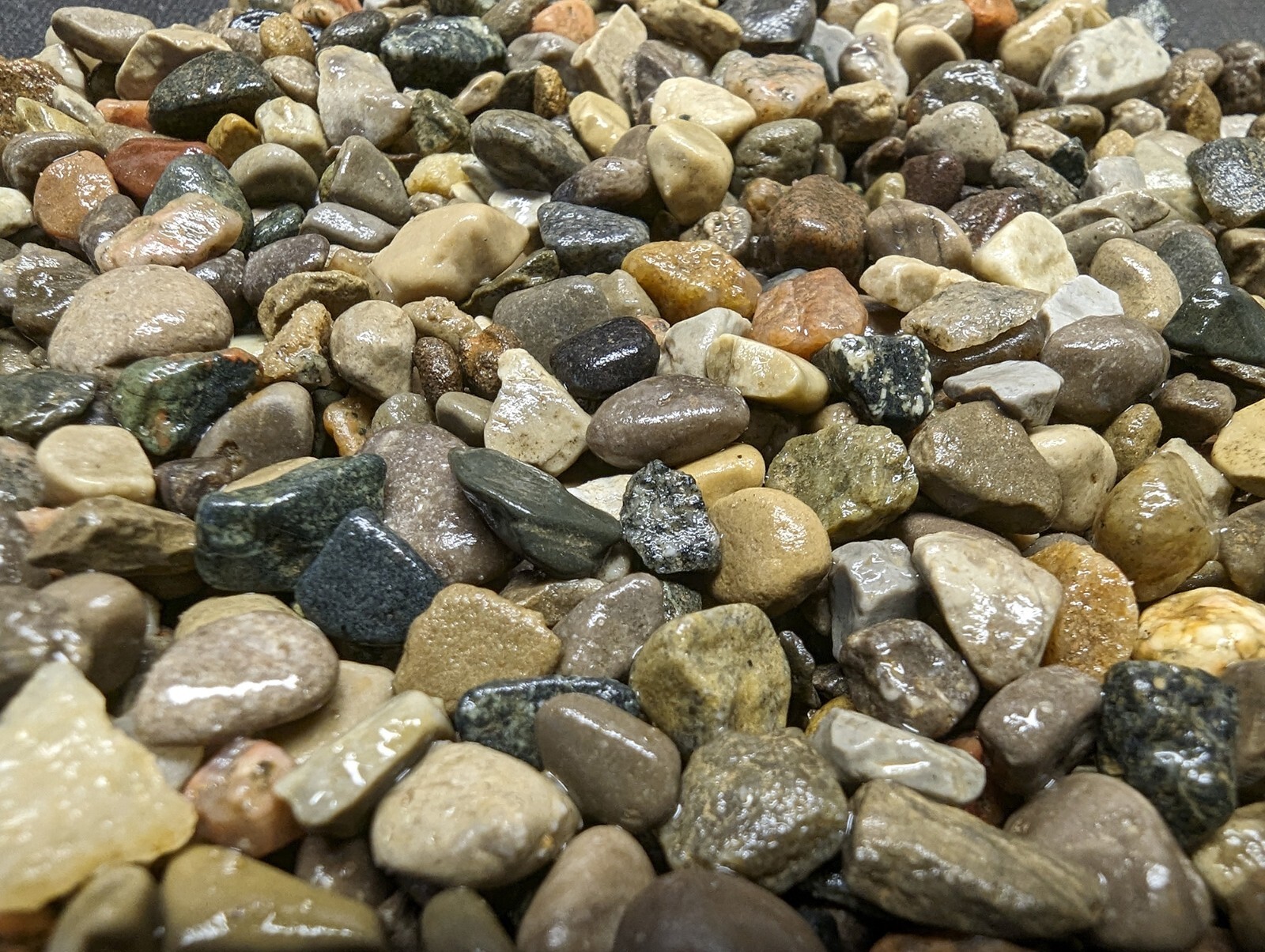 Natural Pea Gravel Pebbles Aquarium Substrate / 1 lbs. (BUY 2 GET 1 ...