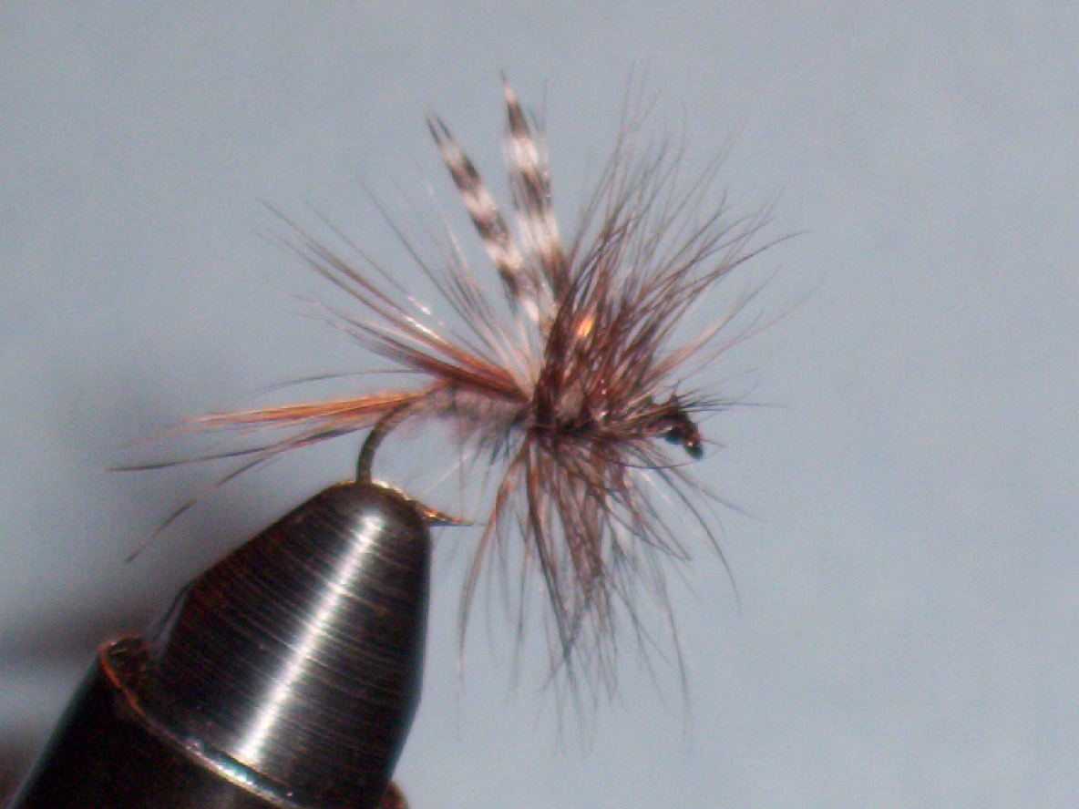 Adams dry flies, set of six, hook size #14, fly fishing flies, tout | eBay