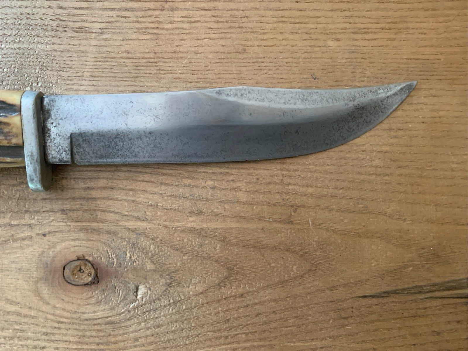 Vintage German (?) Stag Sabre Hunting Knife Stag Handle Nice - 10” | eBay