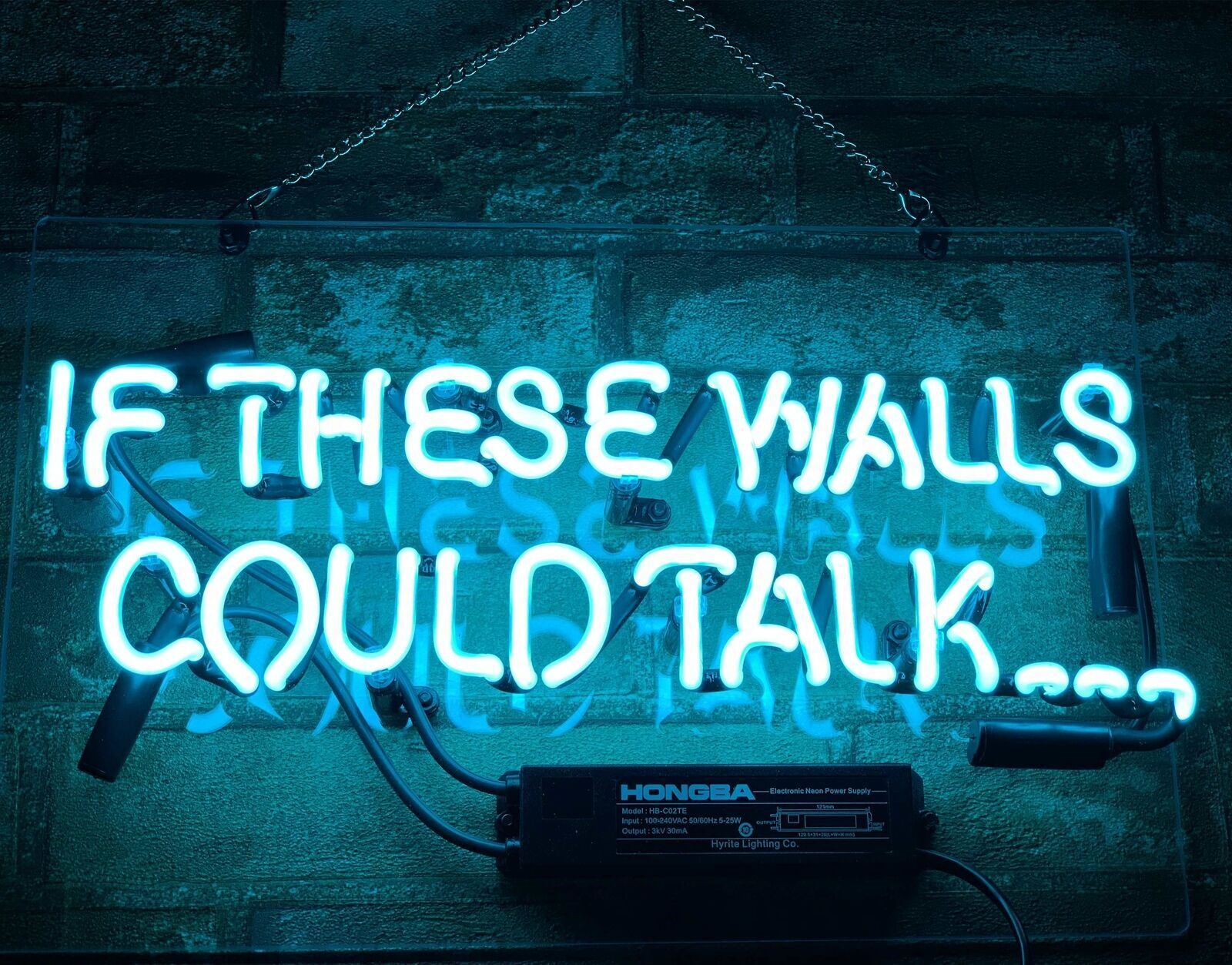 14" If These Walls Could Talk Acrylic Neon Sign Lamp Light With Dimmer ...