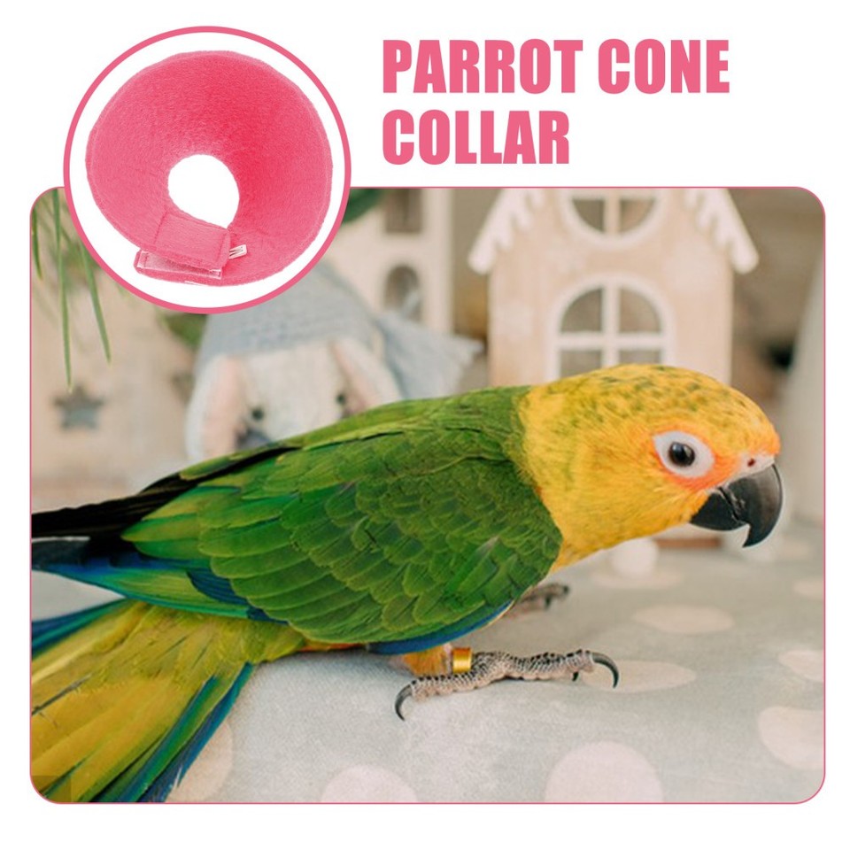 Parrot Neck Collars Pet Protective Recovery Ring Bird Decor Cones ...