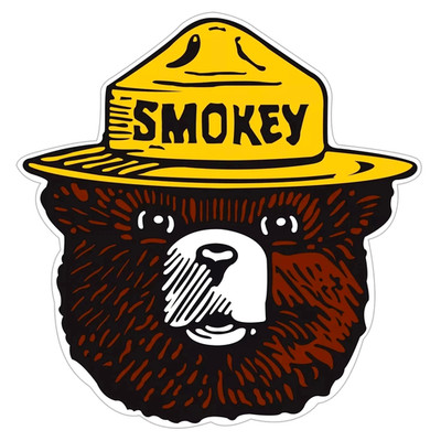 Smokey the Bear 4 Inch Vinyl Die-Cut Decal Sticker *Free Shipping | eBay